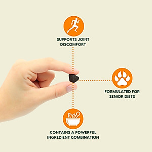 ARK NATURALS Gray Muzzle Old Dogs! Happy Joints! Vet Recommended to Support Cartilage and Joint Function, Glucosamine, 90 Soft Chews,Orange