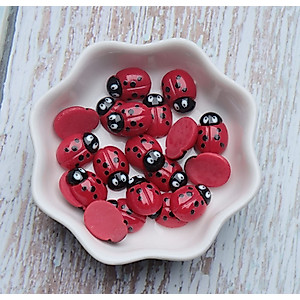 Sowaka 20 Pcs Ladybug Ornaments Tiny Resin Flatback Embellishment Fake Ladybird Decor for Hair Clip DIY Craft Art Project Home Garden Decoration Supplies Jewelry Making Scrapbooking (Small - Ladybug)
