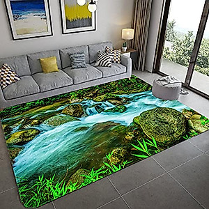 Non Slip Rugs Green White Stone Flowing Water Leaves Pattern Area Rugs Living Room Rugs for Indoor Home Decorative Shag Carpet Rugs 8x10 Feet / 240x300 cm
