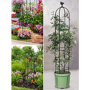 6 Feet Tall Garden Trellis for Climbing Plants Kalolary Garden Tower Obelisk Trellises Rustproof Metal Potted Plant Climbing Support for Indoor Outdoor Flowers Vegetable Fruits Vines Support (Black)