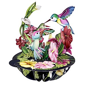 SANTORO Pirouette, 3D Pop Up Greeting Card - Hummingbirds - For Her, Mom, Wife, Sister, Daughter, Birthday, Bird Lovers | Thank You Cards For Teacher | Get Well Soon Card