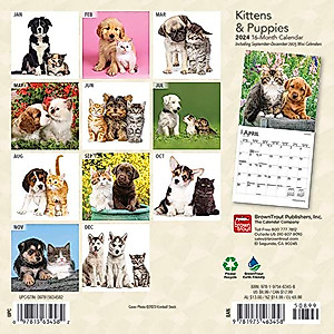 Kittens & Puppies | 2024 7 x 14 Inch Monthly Mini Wall Calendar | BrownTrout | Animals Cute Dogs Cats