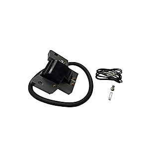 ENGINERUN 398593 Ignition Coil Module Magneto for Briggs & Stratton 3HP Engines 793281, 793352, 792594, 395489, 398593 496914