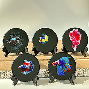 Hand-Painted Betta Fish on Resin Disc - Unique & Trending Ornaments - Office & Aquarium Accesory - Collectibles & Décor [Apatite Collection] (Blind Box, Random)