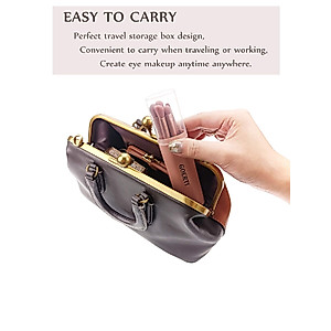 Eye Makeup Brushes Set with Travel Case 5Pcs Essential Eyeshadow Brush Blending and Shading Smudge (Pink)