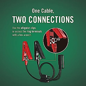 Battery Tender Junior 12V, 800mA Battery Charger and Maintainer