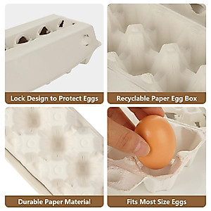 22 Pcs 12 Count Egg Cartons Cheap Bulk Empty Cardboard Egg Cartons Paper Egg Cartons for Chicken Egg, Fresh Egg and Sale, with Sticker