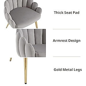 HEAH-YO Dining Chairs Set of 4, Upholstered Velvet Dining Room Chairs with Barrel Backrests and Gold Metal Legs, Comfy Accent Side Chairs for Living Room Kitchen, Grey