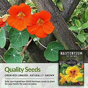 Survival Garden Seeds - Tip Top Mix Nasturtium Seed for Planting - Pack with Instructions to Plant and Grow Edible Flowers & Companion Plants in Your Home Vegetable Garden - Non-GMO Heirloom Variety