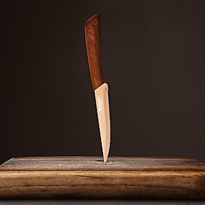 Hampton Forge Raintree 4Pc Steak/Clam, 0.55 LB, Multi