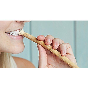 10 x Al Falah Miswak Traditional Natural Manual Toothbrush Sewak Vacummed & Packed