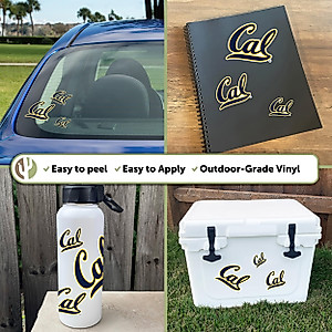 Desert Cactus University of California Berkeley Sticker Golden Bears Cal UC Vinyl Decals Laptop Water Bottle Car Scrapbook T3 (Type 3-2)