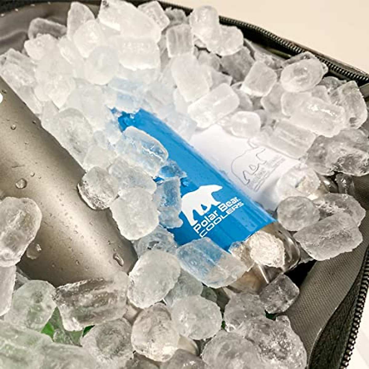 Polar Bear Coolers 12 Pack Original Soft Cooler Red