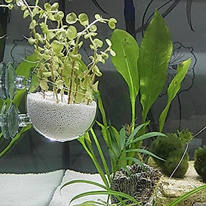 Bilindasly 1PCS Crystal Glass Aquatic Plant Cup Pot Holder, Aquatic Planter Aquarium Tank Live Plant Pot Red Shrimp Holder with Suction Cups for Fish Tank Aquarium Decor