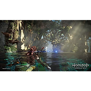 Horizon Forbidden West (PS5)