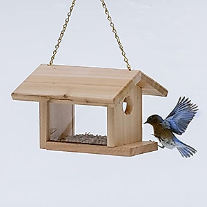 C&S Wild Bird Bluebird Suet Nuggets Mega Box, 8 Pounds