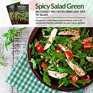 Survival Garden Seeds - Arugula Seed for Planting - Packet with Instructions to Plant and Grow Garden Rocket Green Leafy Vegetables in Your Home Vegetable Garden - Non-GMO Heirloom Variety - 1 Pack