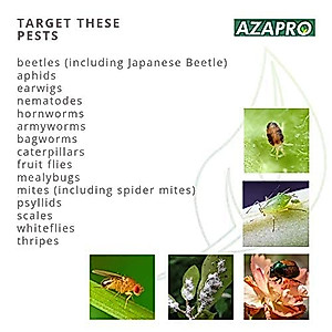 NeemTree Organics Azapro - Botanical Insecticide - Pest Management and Growth Control Concentrate for Organic Gardening (4 OZ)