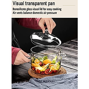 Glass Cooking Pot - 2L/67oz Heat-Resistant Borosilicate Glass Handmade Cookware Set stovetop Pot - Safe for Pasta Noodle, Soup, Milk, Tea (2L/67oz)