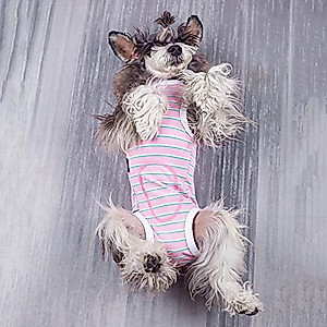 Puppy Recovery Surgical Suit for Female Male Dogs Cats Abdominal Wounds,Professional Spay Neuter Dog Pet Bodysuit, E-Collar Alternative After Surgery Wear Anti Licking Wounds,Dog Onesie