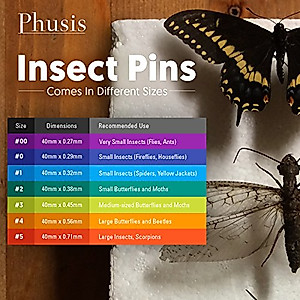 Phusis Stainless Steel Insect Pins - Size #5 - Set of 100 - for Entomology, Dissection and Butterfly Collections (#5)…