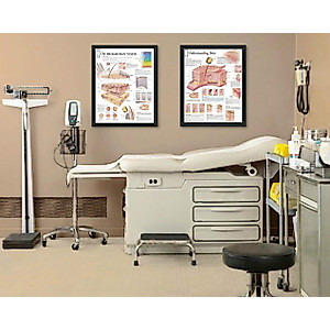 Set of 2 Framed Medical Posters The Integumentary System and Understanding Skin 22"x28" Wall Diagrams Educational Informational Doctors Office Charts
