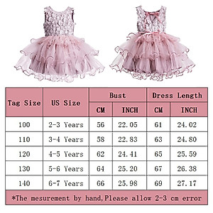 HNXDYY Flower Girl Princess Dress Tutu Sleeveless Birthday Party Summer Baby Clothes 678 Pink 2-3 Years