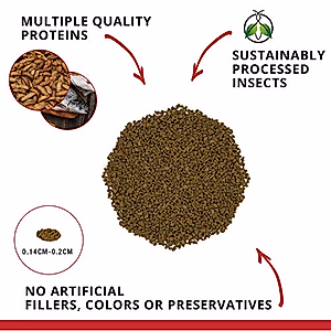 Fluval Bug Bites Cichlid Fish Food, Granules for Small to Medium Sized Fish, 1.59 oz., A6580