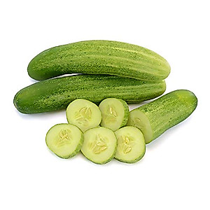 Carolina Cucumber Seeds for Planting, 100+ Heirloom Seeds Per Packet, (Isla's Garden Seeds), Non GMO Seeds, Botanical Name: Cucumis sativus, Great Home Garden Gift