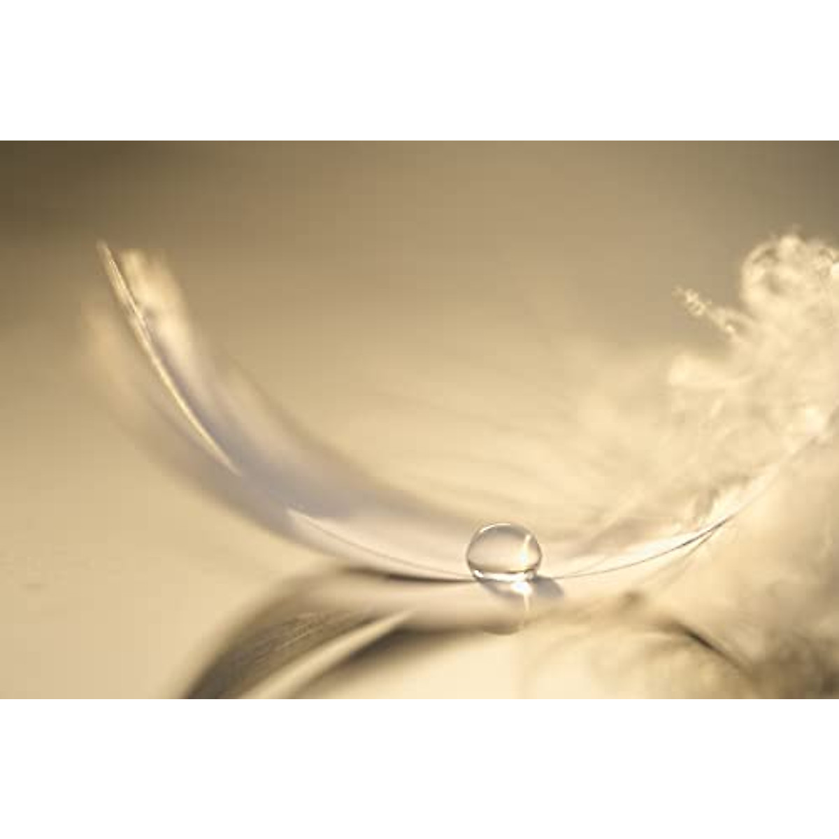 NIKKOR Z MC 105mm f/2.8 VR S