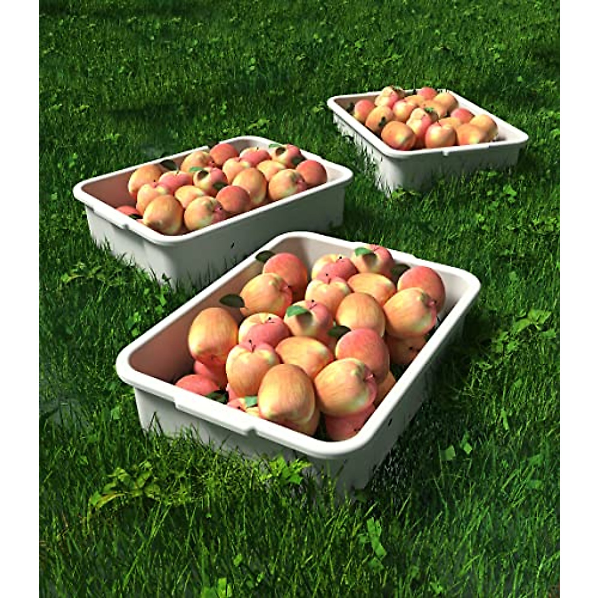 5-Pack Commercial Bus Tubs Box/Tote Box, White Plastic Storage Bin with Handles/Wash Basin Tub (8 Liter)