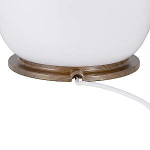 Zadro Countertop Towel Warmer, White/Oak