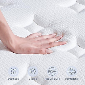 Dourxi Queen Mattress, 12 Inch Hybrid Queen Size Mattress in a Box with Gel Memory Foam, Individually Pocketed Springs for Support and Pressure Relief - Medium Plush