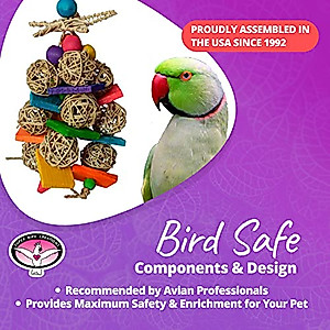 Super Bird Creations SB480 Starburst Bird Toy, Medium Bird Size, 10" x 4"