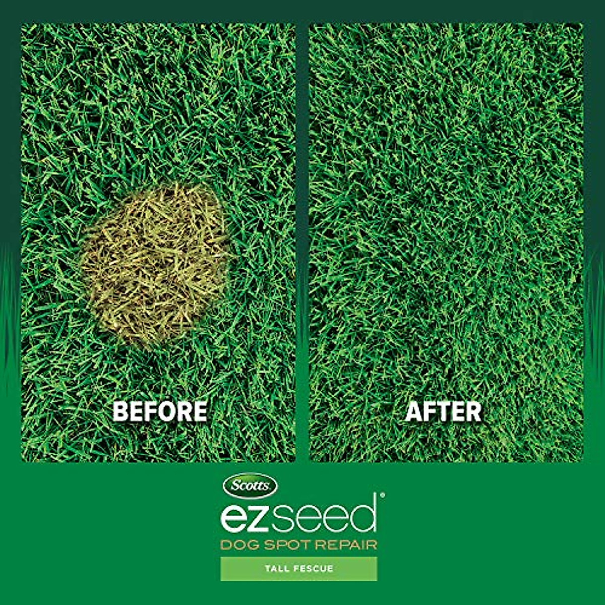 Scotts EZ Seed Dog Spot Repair Tall Fescue Lawns - 2 lb., Combination Mulch, Seed and Soil Amendment Includes Protectant and Tackifier, Neutralizes and Repairs up to 100 Dog Spots