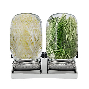 Lulonpon 2 Pieces Sprouting Stands, 304 Stainless Steel Sprouting Stands with Tray for Sprouting Jar, Sprouting, Sprouting Seeds, Sprouting Kit