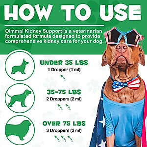 Liver Support for Dogs, Liver and Kidney Support for Dogs with Natural Herbal Extract Helps Balance Dogs Liver & Kidneys Health, Pet Supplement - Liver Support Drops to Improve Dog Energy - 2 fl.oz