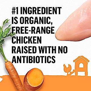 Beyond Purina Organic Pate Wet Cat Food Variety Pack, Organic Chicken Adult Recipes