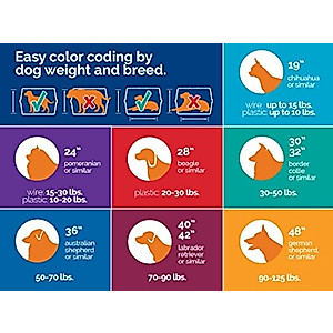 Petmate Compass Kennel, 20-30LBS, PEARL WHITE/BLACK, Model:41033