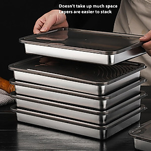 Dumpling Storage Box, Stainless Steel Dumpling Organizer Food Storage Containers Stainless Steel Food Tray with Lid, Dumpling Freezer Organizer for Kitchen and Fridge