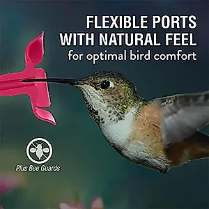 Bird Feeder Feeder Hummingbird Drinking Water Handheld Water Feeder New P-roduct Garden