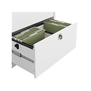 Bush Furniture Salinas 2 Drawer Lateral File Cabinet in Pure White and Shiplap Gray