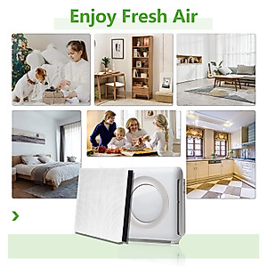 JASENG Replacement Filter Compatible with Coway Airmega 200M Air Purifier AP-1518R, Mighty Air AP-1512HH，Part# 3304899