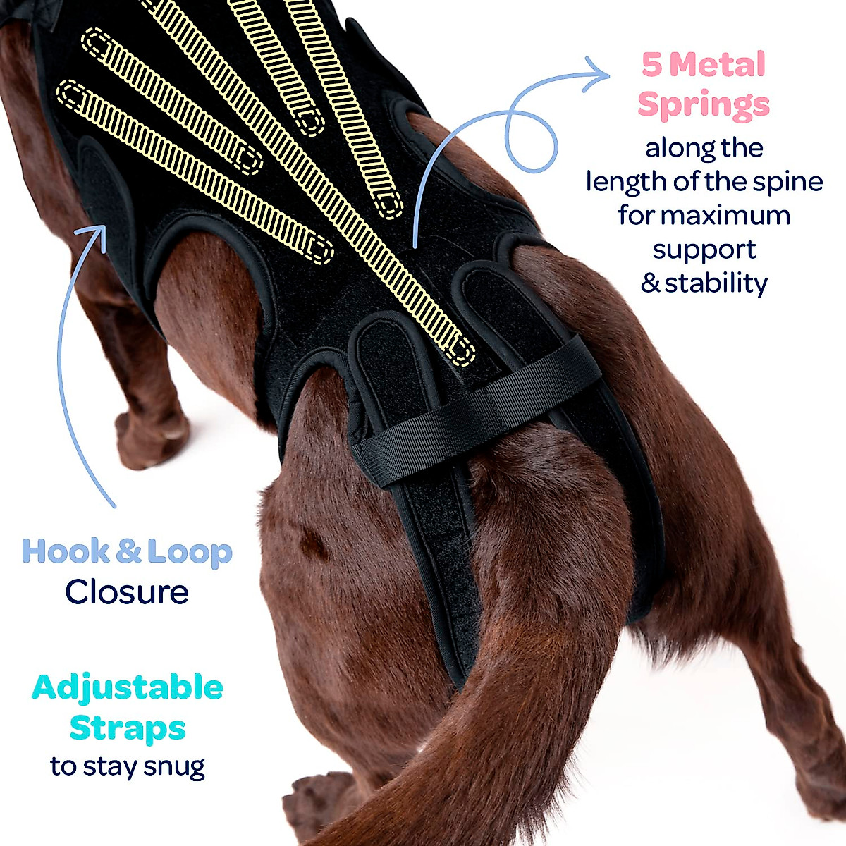 Labra Dog Canine K9 Back Brace - IVDD Spine Pain & Spinal Injury, Arthritis, Bulging Discs Brace for Corgis, Dachshund, Post Surgery Recovery, Rehab, Inflammation - Small