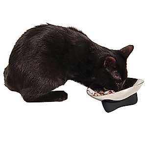 Petmate Jackson Galaxy Nova Stainless Steel Cat Bowl
