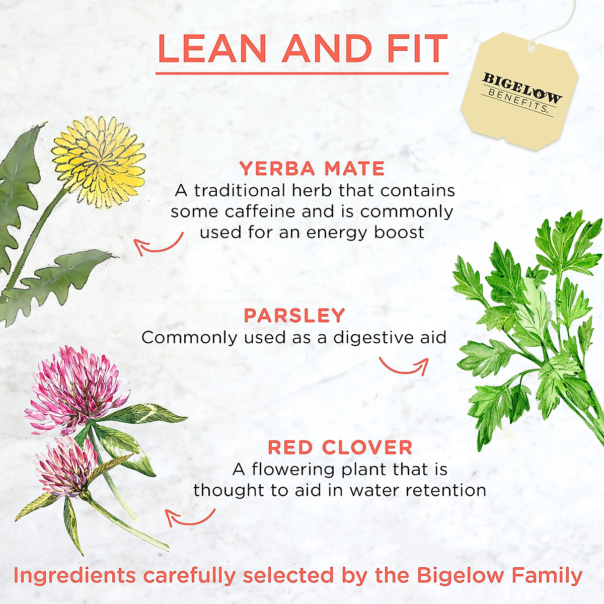 Bigelow Tea Benefits Lean and Fit Citrus & Oolong Tea, Caffeinated, 18 Count (Pack of 6), 108 Total Tea Bags