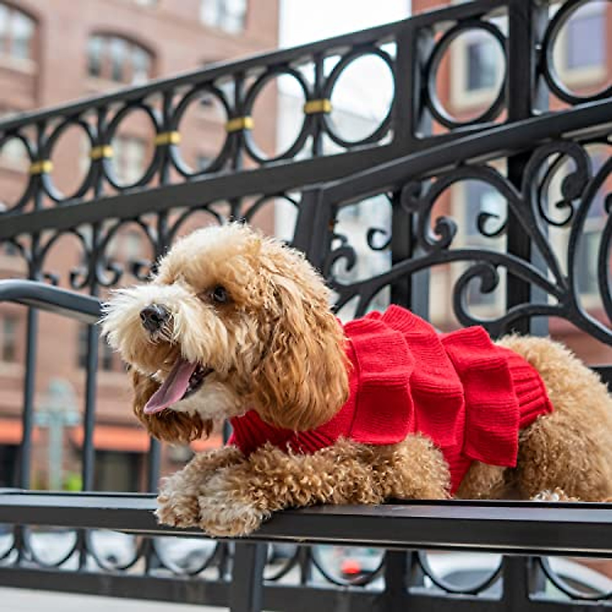 Christian Siriano New York Red Ruffle Sweater, XS