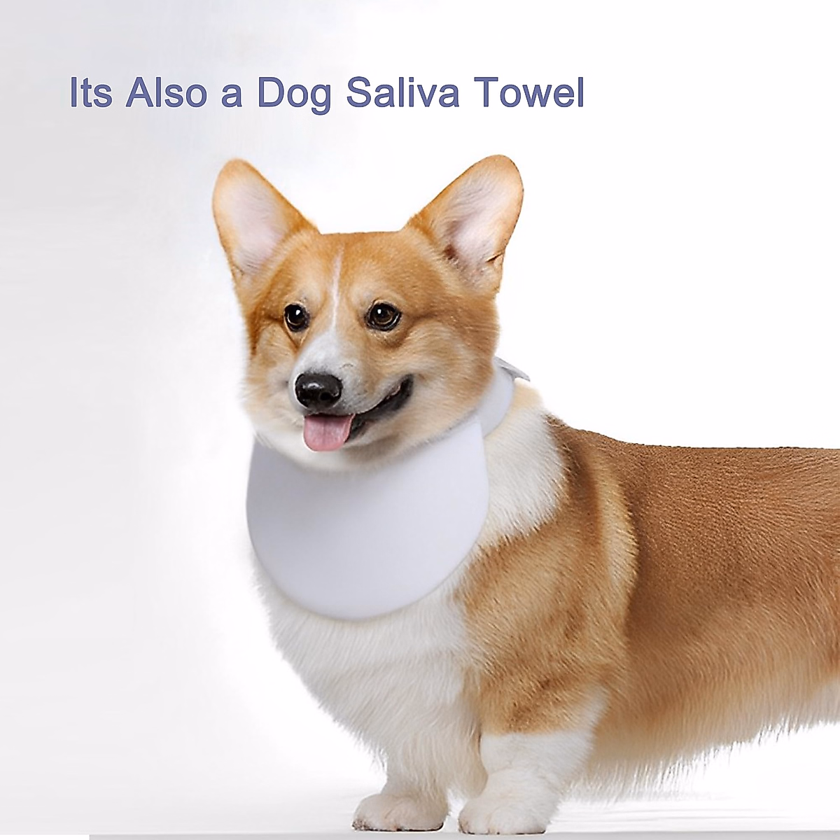 Cat Recovery Collar Soft,Cat Cone Collar Alternative,Neck Cone for Cat After Surgery, Elizabethan Collar for Cat Kitten Puppies (L)