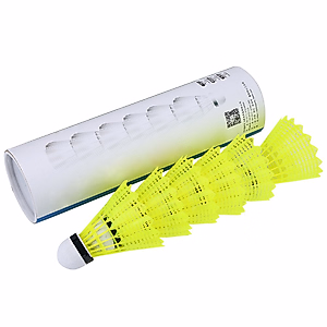 6Pcs/Set Badminton Balls, Professional Nylon Shuttlecocks Outdoor Sports Training Accessory