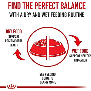 Royal Canin Feline Health Nutrition Canned Cat Food,Thin Slices in Gravy- 3 Ounce Cans- 12 Pack Variety Bundle- 2 Flavors with Pets Food Bowl (6) Adult Instinctive (6) Intense Beauty